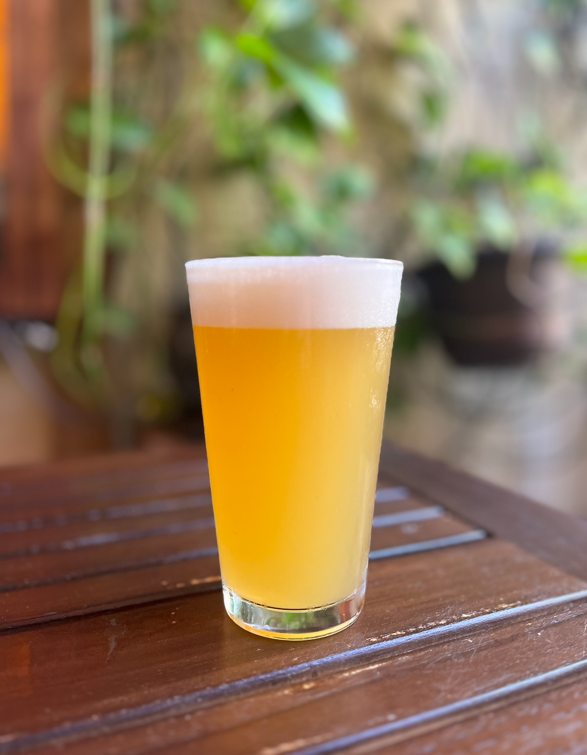 Order Online! The Cat And Fiddle Restaurant & Pub (Highland Ave)